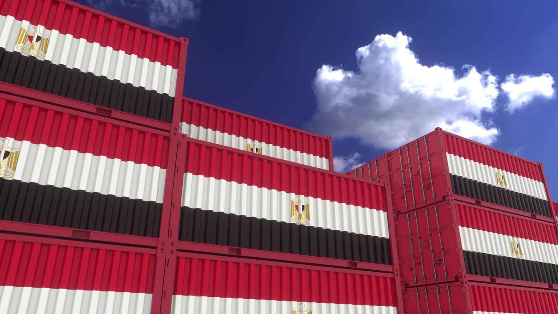 Egypt's Qantara West projects to bring $4 billion in exports - Egyptian Era